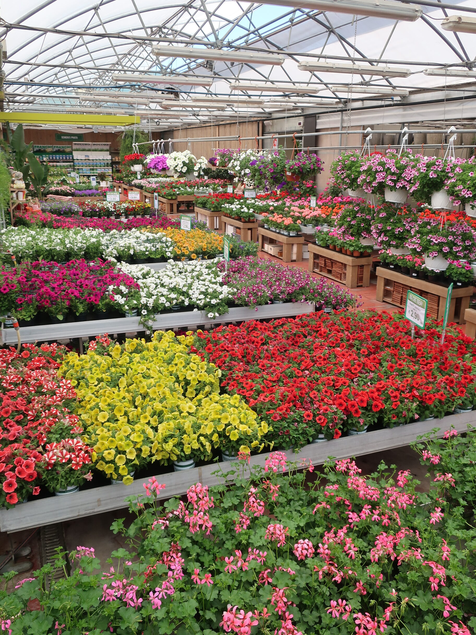 Garden Floridea - Il tuo Garden di fiducia del centro di Verona! - HOME